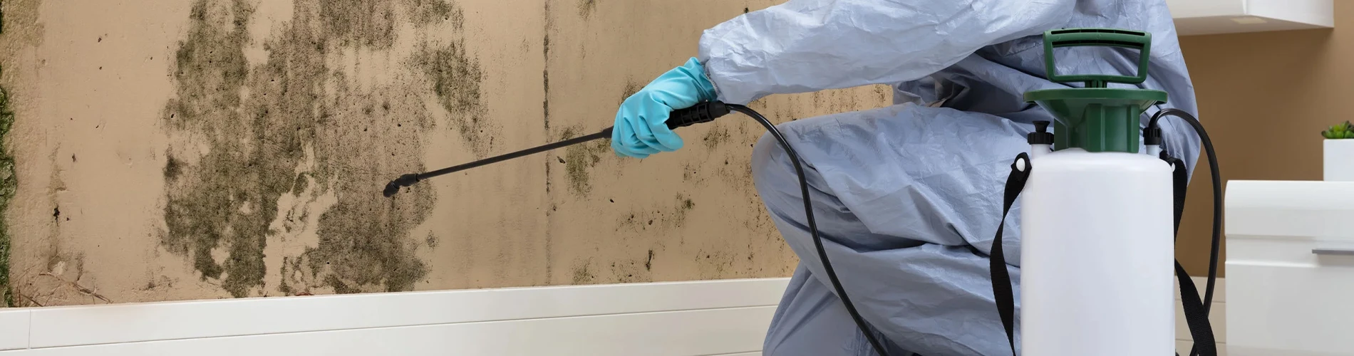 Mould Remediation Cowra, NSW - Ceiling Mould Removal